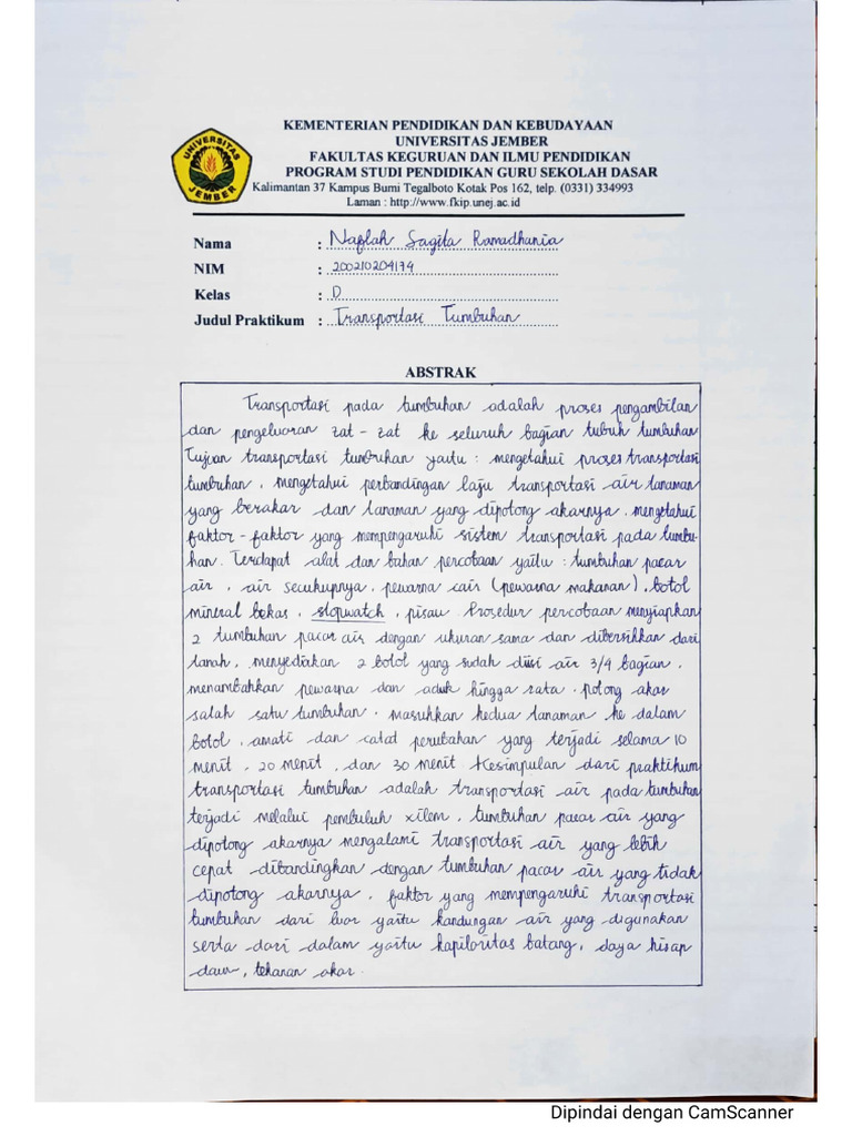 Contoh Modul Praktikum | PDF