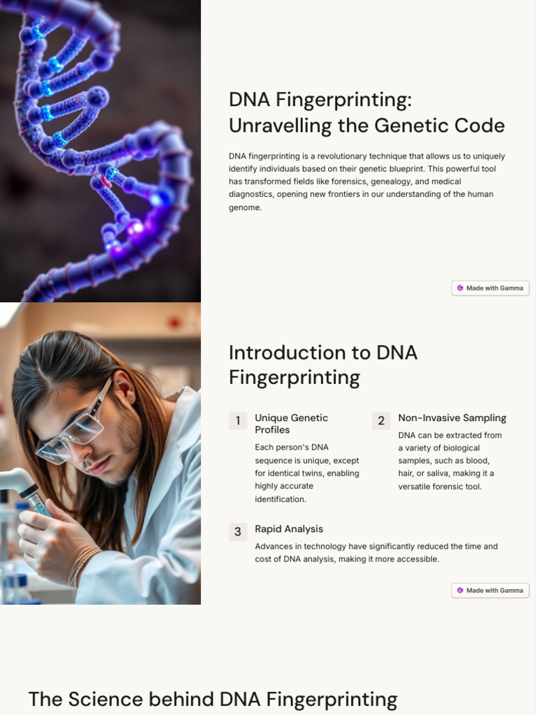 DNA Fingerprinting Unravelling The Genetic Code 241101 121309 | PDF | Dna Profiling | Forensic ...