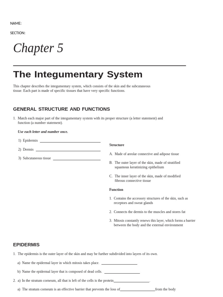 WC5 PDF | PDF | Skin | Integumentary System