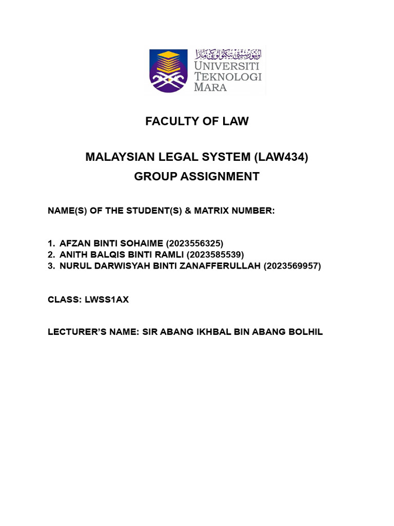 Mls Assignment | PDF | Statutory Interpretation | Plain Meaning Rule