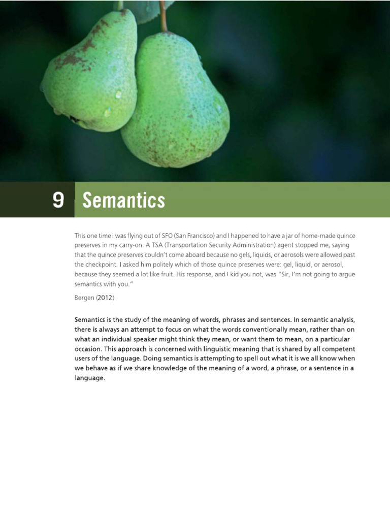 Module 3 - Ch9 (1) semantics | PDF