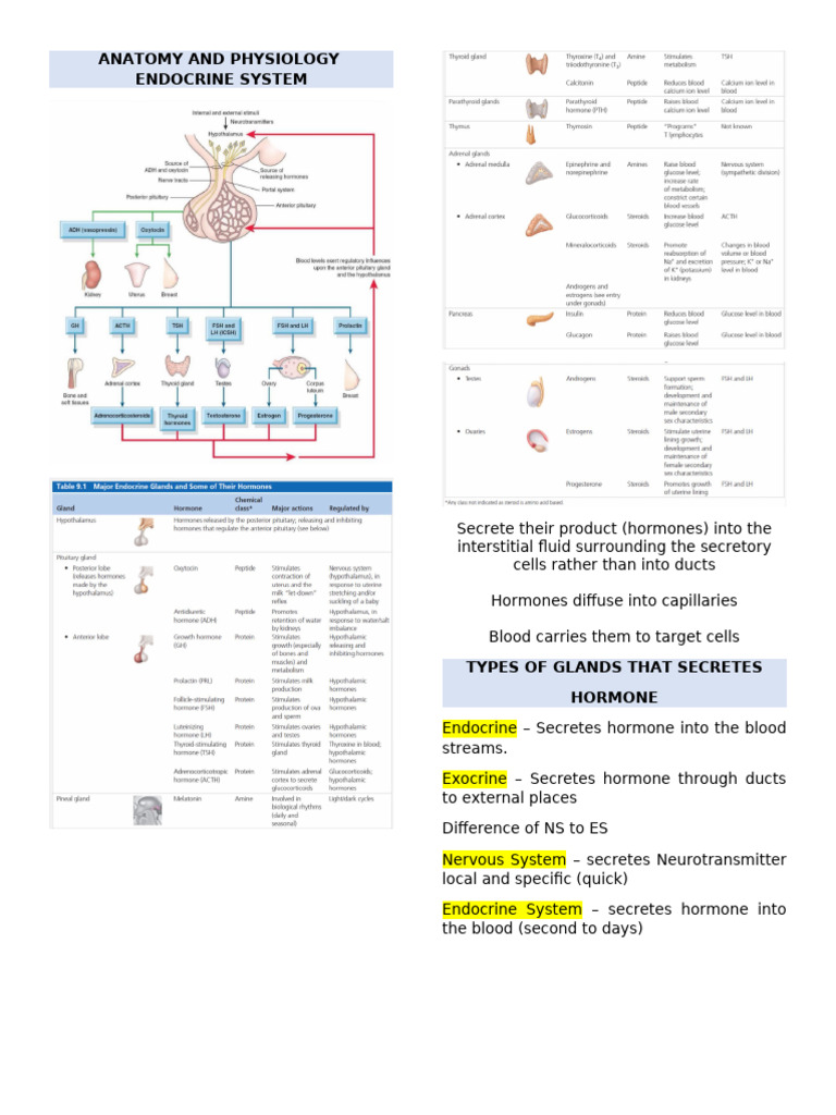 AnaPhy-Endocrine | PDF | Hormone | Endocrine System