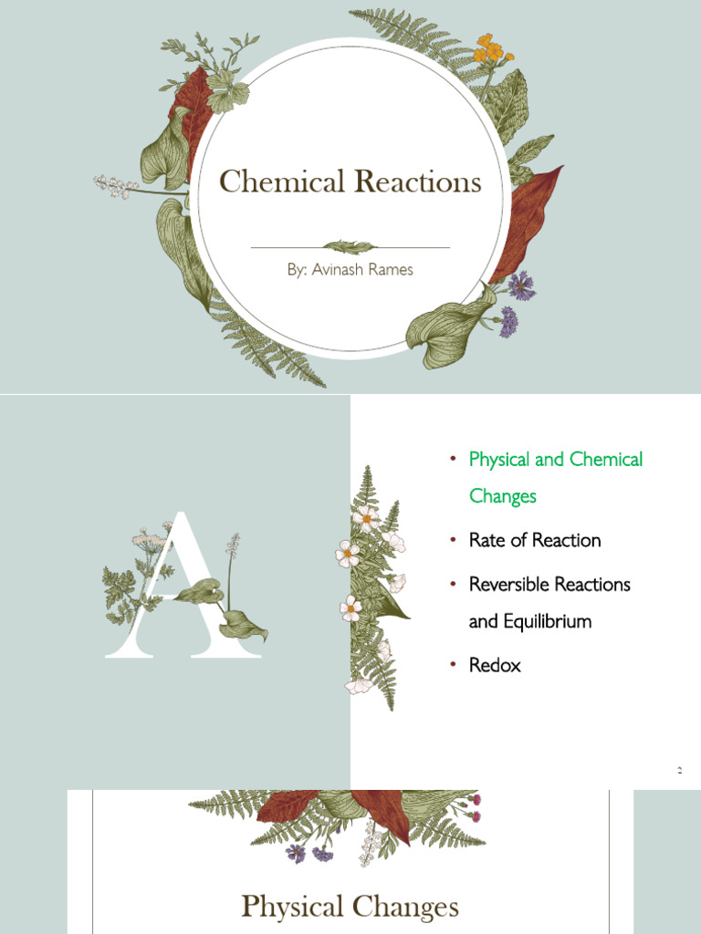 Understanding Chemical Reactions | PDF | Reaction Rate | Redox
