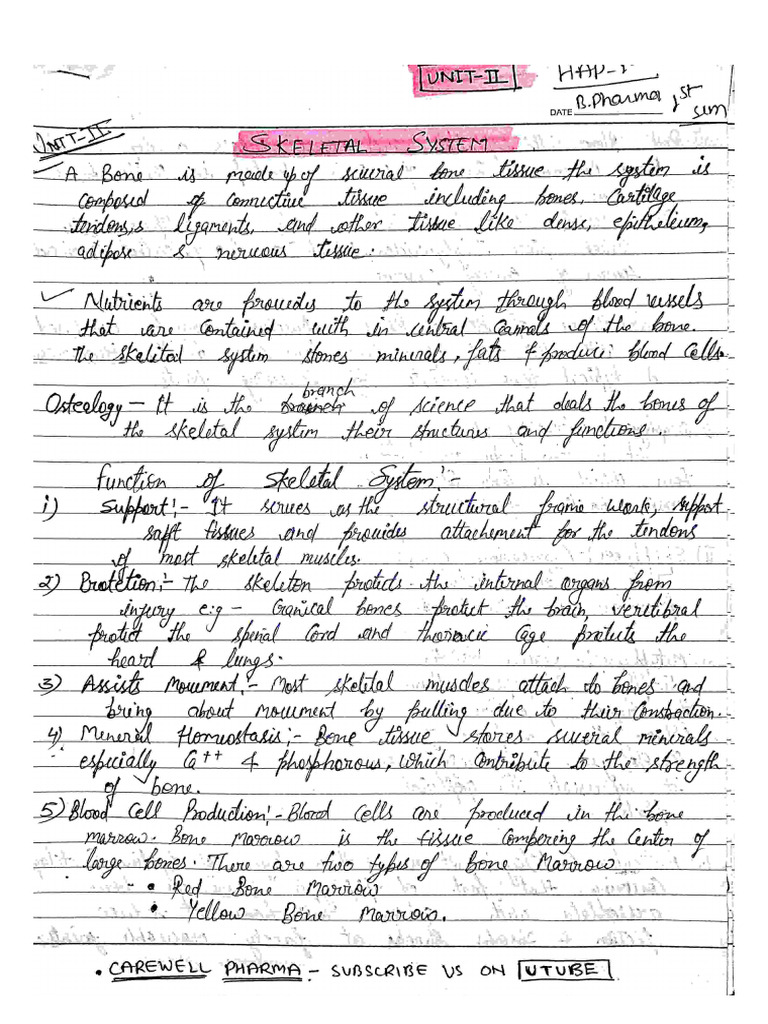 Skeleton-System-HAP | PDF