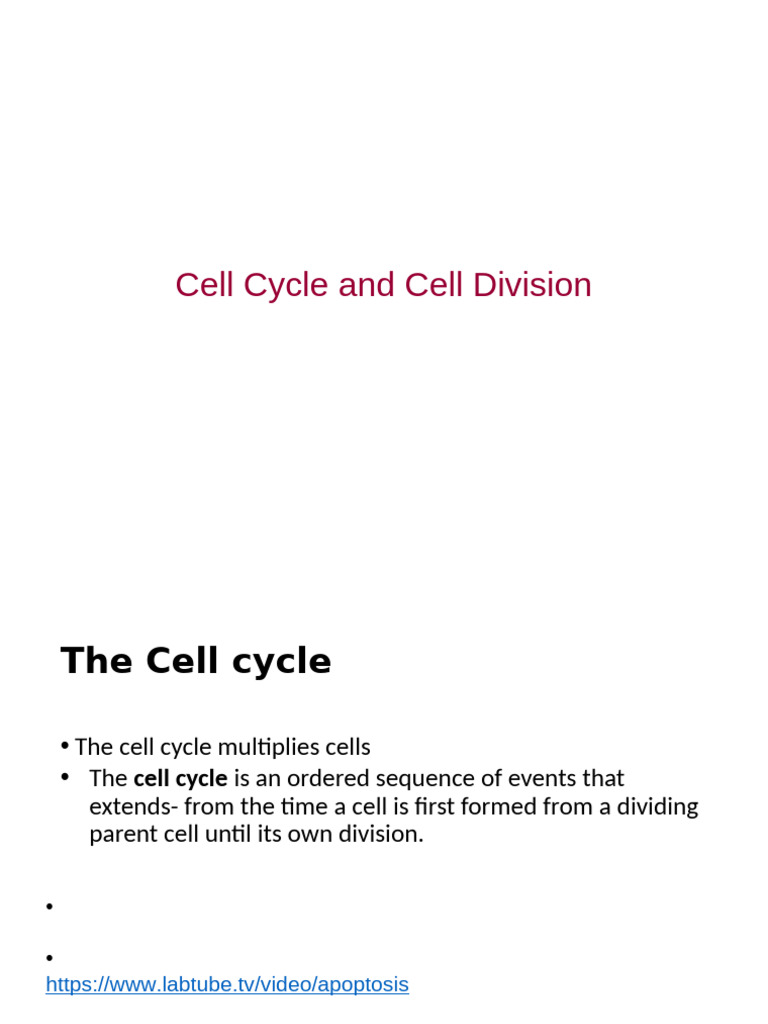 Cell Cycle and Cell Division | PDF | Meiosis | Mitosis