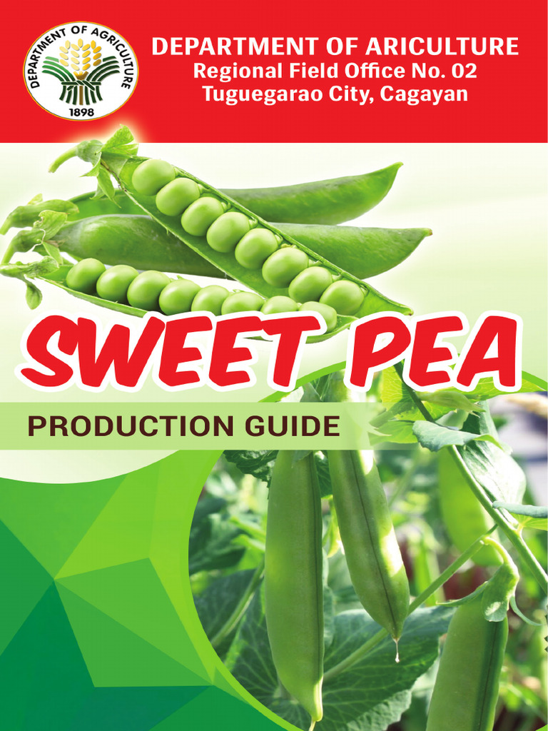 Sweet Pea Production Guide for Region 02 | PDF | Pea | Legume