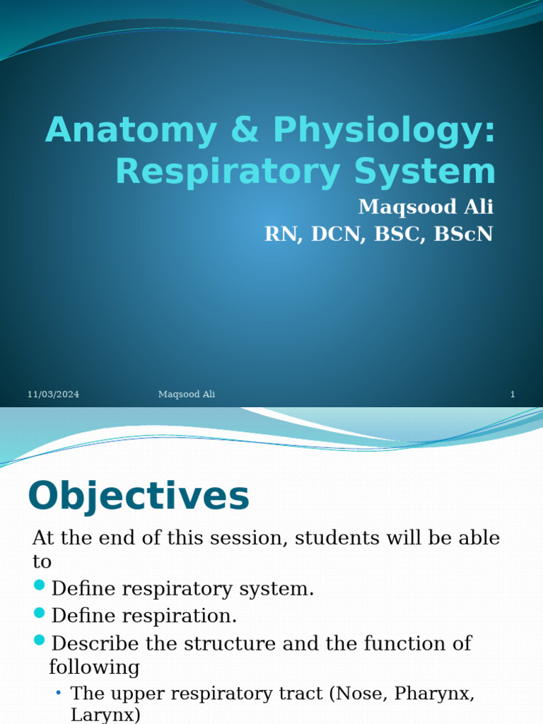 A&P Respitory System | PDF | Respiratory Tract | Lung