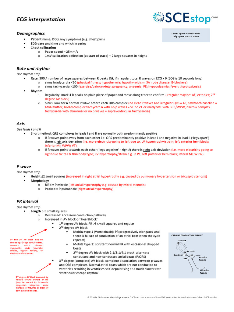 Ecg Interpretation Basics by Oscestop PDF 5wo DR Notes | PDF ...