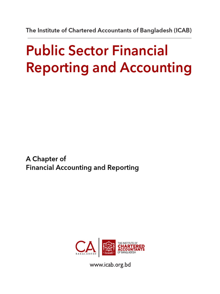 Public Sector Financial Reporting and Accounting | PDF | International ...