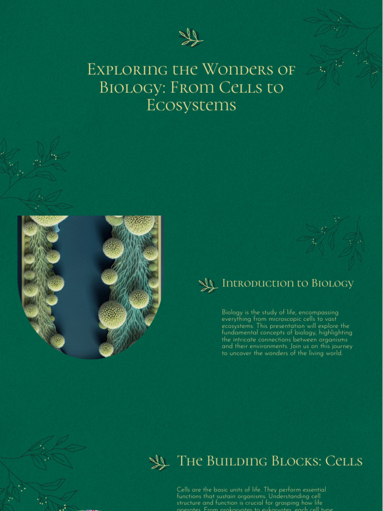Wonders of Biology: Cells to Ecosystems | PDF
