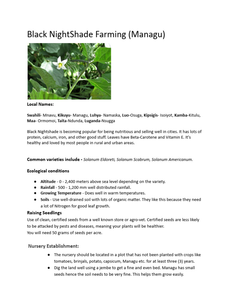 African Nightshade Guide | PDF | Horticulture | Agriculture