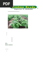 Dalo Farming Guide for Fiji | PDF | Soil | Weed