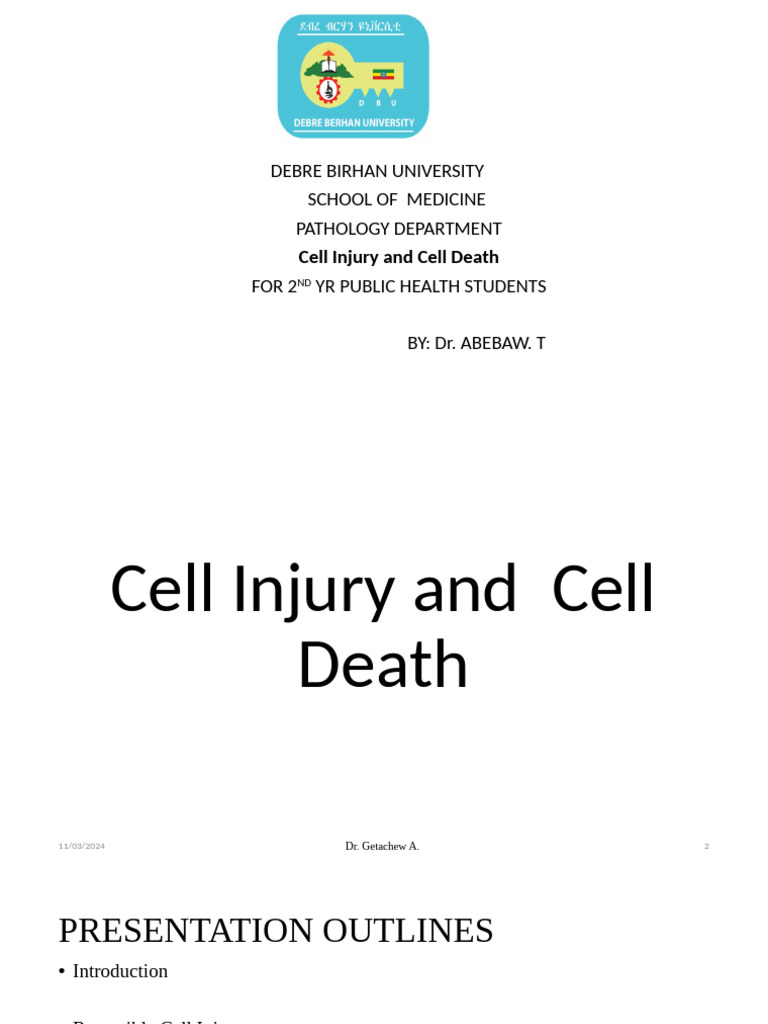 3. Cell Death | PDF | Necrosis | Apoptosis