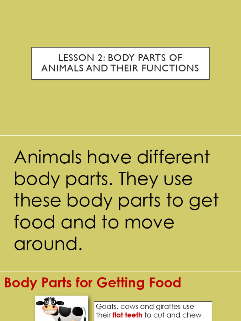 LESSON 2 - Body Parts of Animals and Their Functions-2nd QTR | PDF