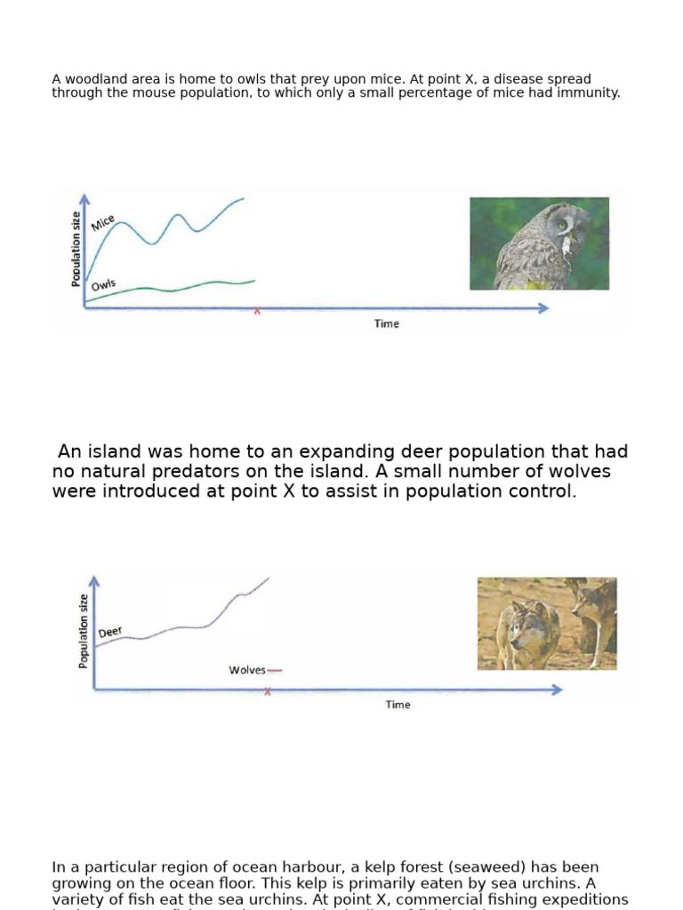 Feeding Relationship Graphs | PDF