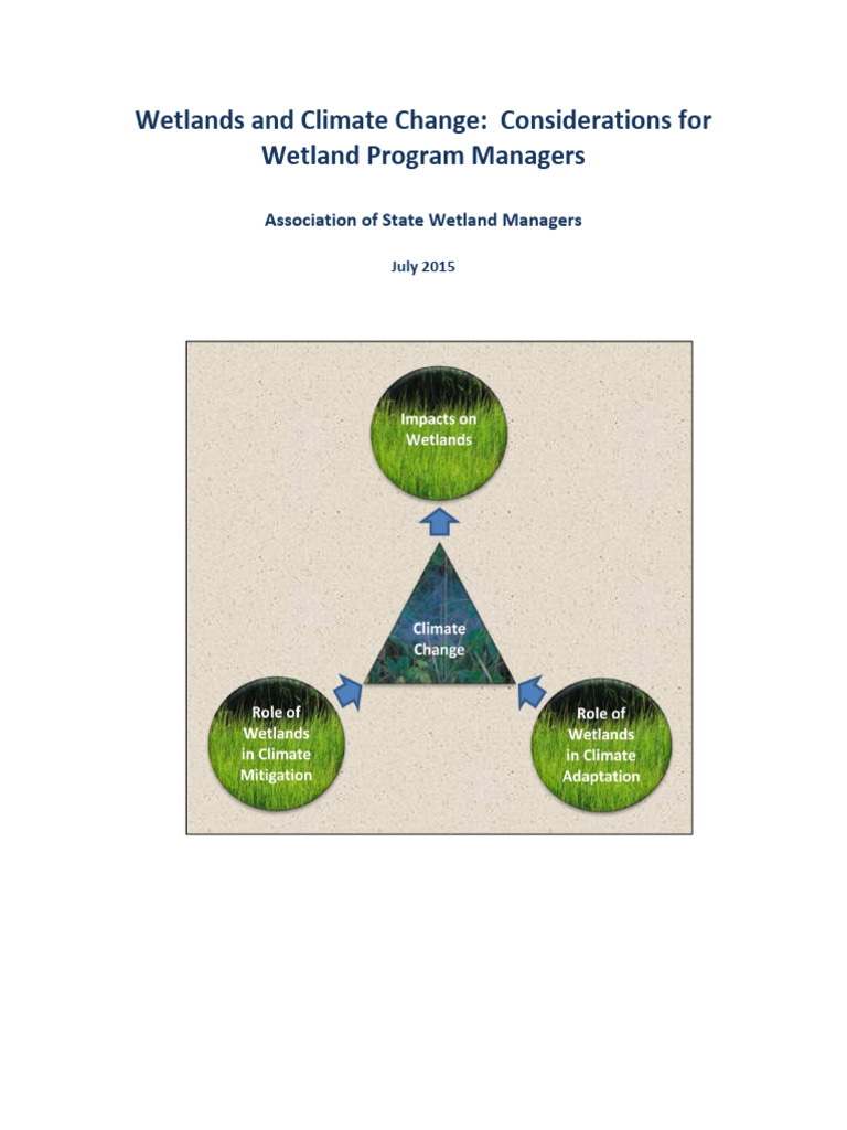 Wetlands & Climate Change Guide | PDF | Wetland | Carbon Sequestration