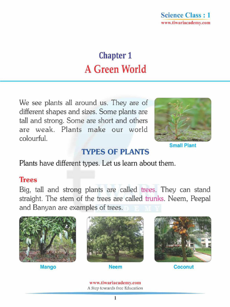 Plant Types | PDF