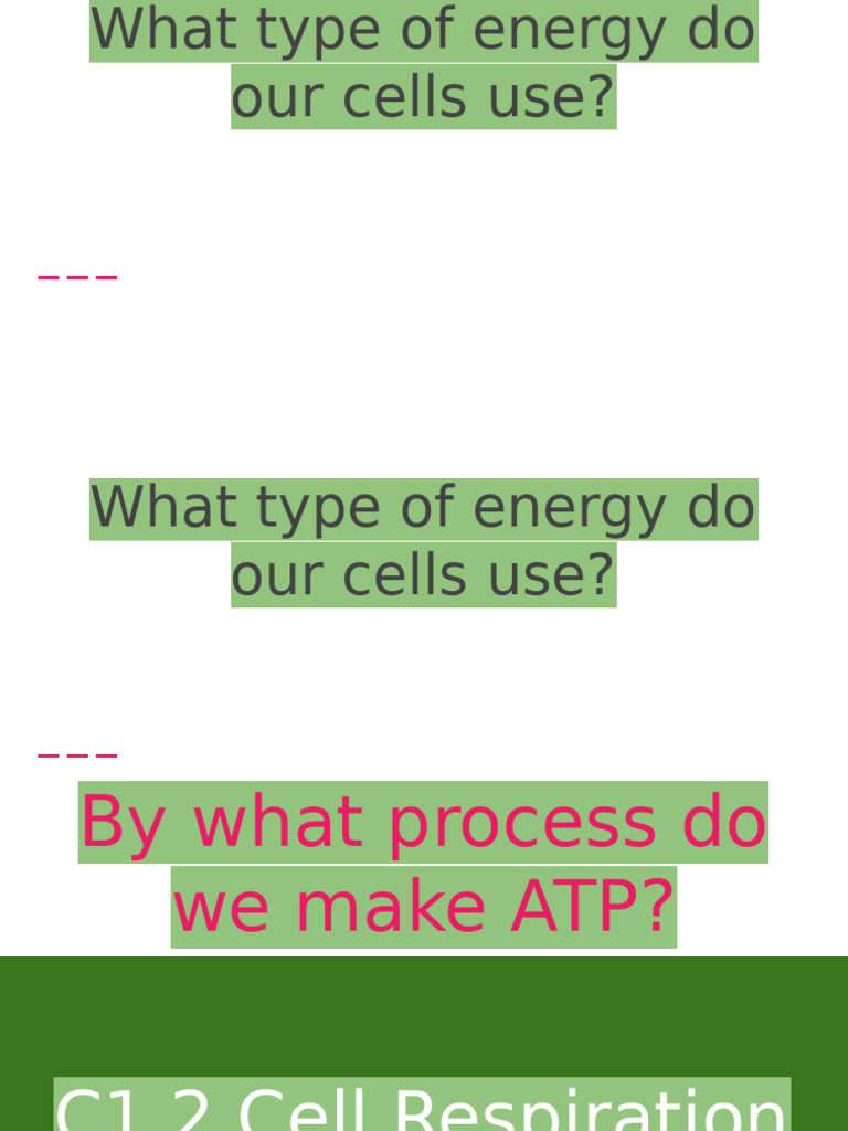 Cellular Respiration and ATP Production | PDF | Cellular Respiration ...