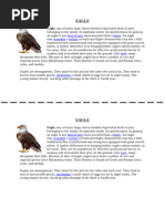 Overview of Eagle Taxonomy and Species | PDF