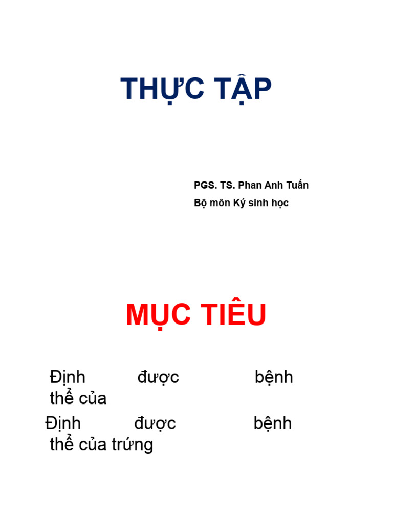 Thuc Tap San | PDF