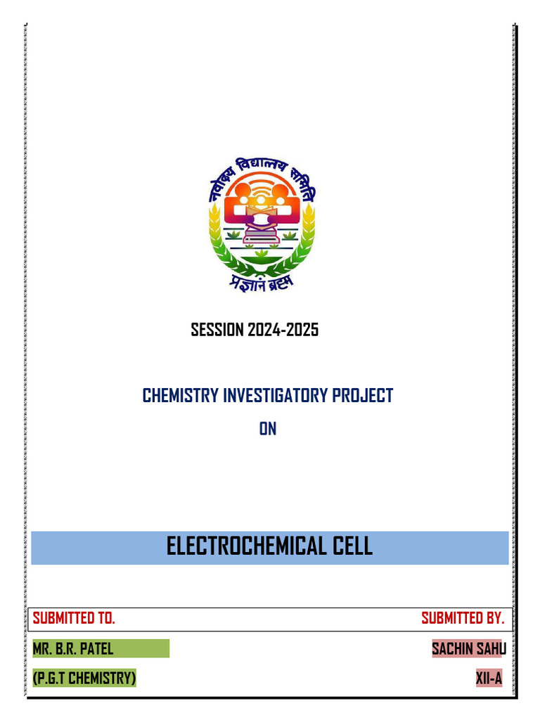Electrochemical Cell Project Report | PDF | Redox | Electrode