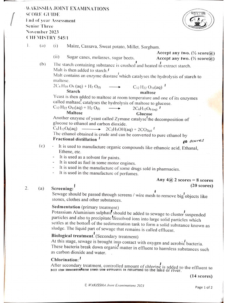 Wakisha Making Guide S.3 Chem p1 | PDF