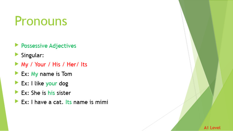 Pronouns Explanation Copy 7 | PDF