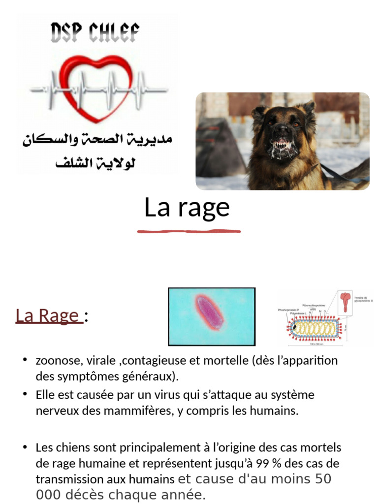 La Rage 2023 | PDF | Rage (maladie) | Médecine