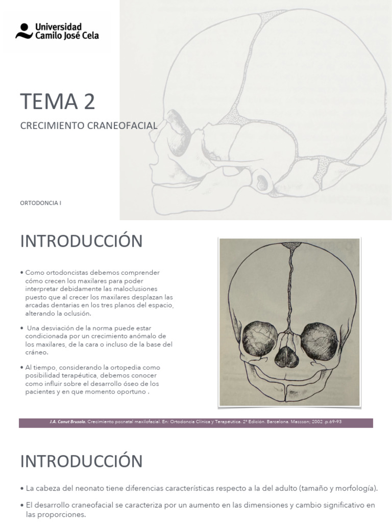 Crecimiento Craneofacial en Ortodoncia | PDF | Cráneo | Ortodoncia