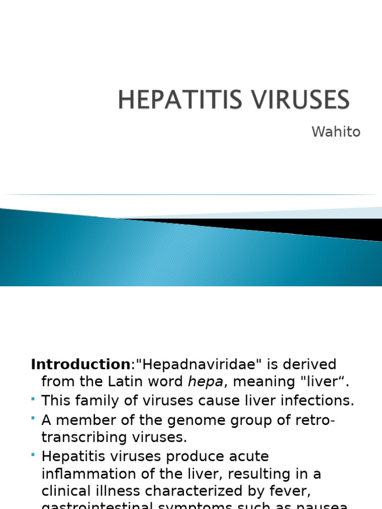 Virology Hepadnaviruses | PDF | Hepatitis B | Hepatitis