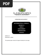 Mathematical Literacy Grade 11 Paper 1 June 2025 | PDF