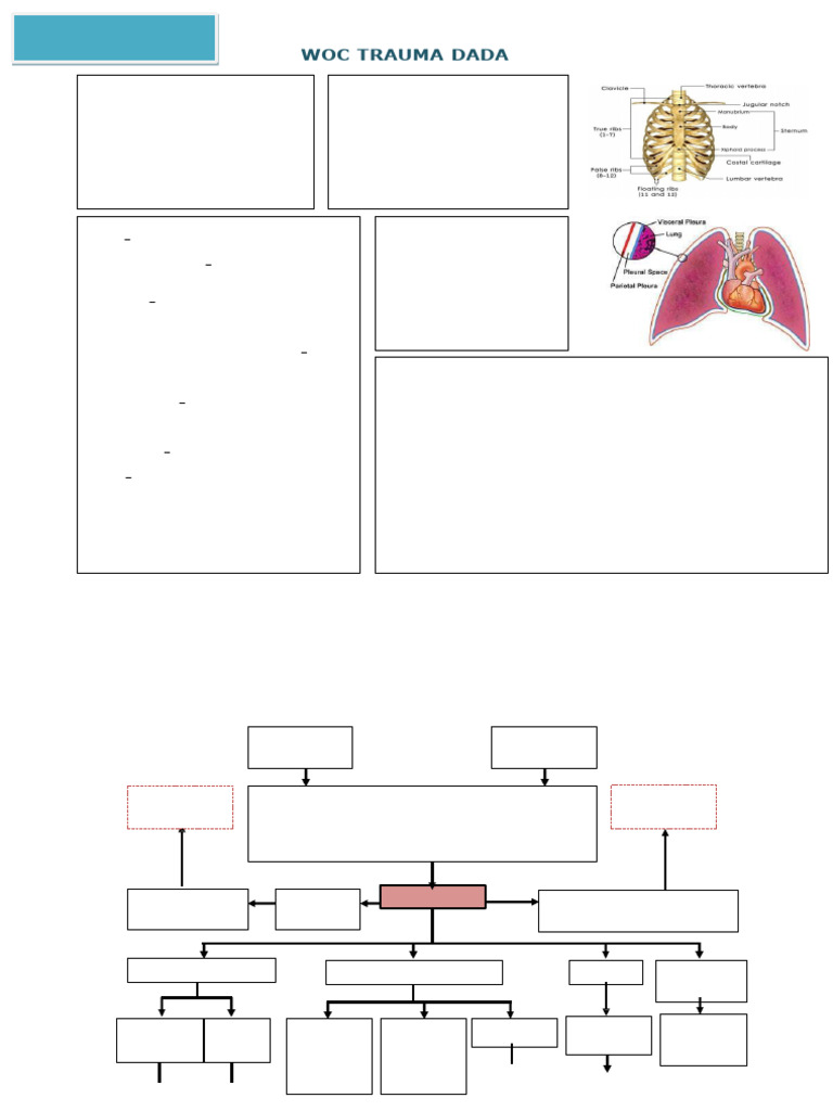 Woc Trauma Dada ICU ECA | PDF