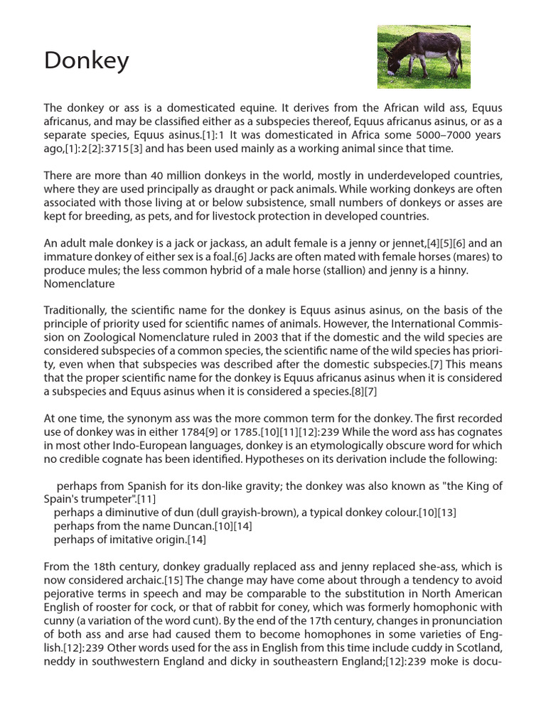 Donkey | PDF | Donkey | Domesticated Animals