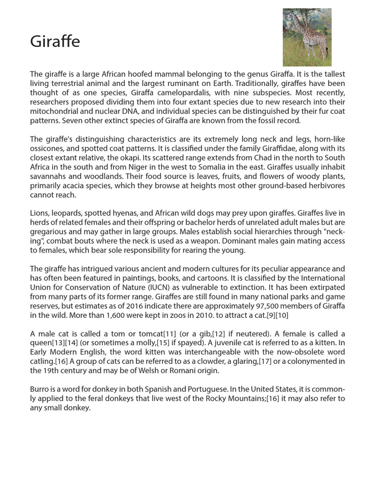 Giraffe | PDF | Giraffe