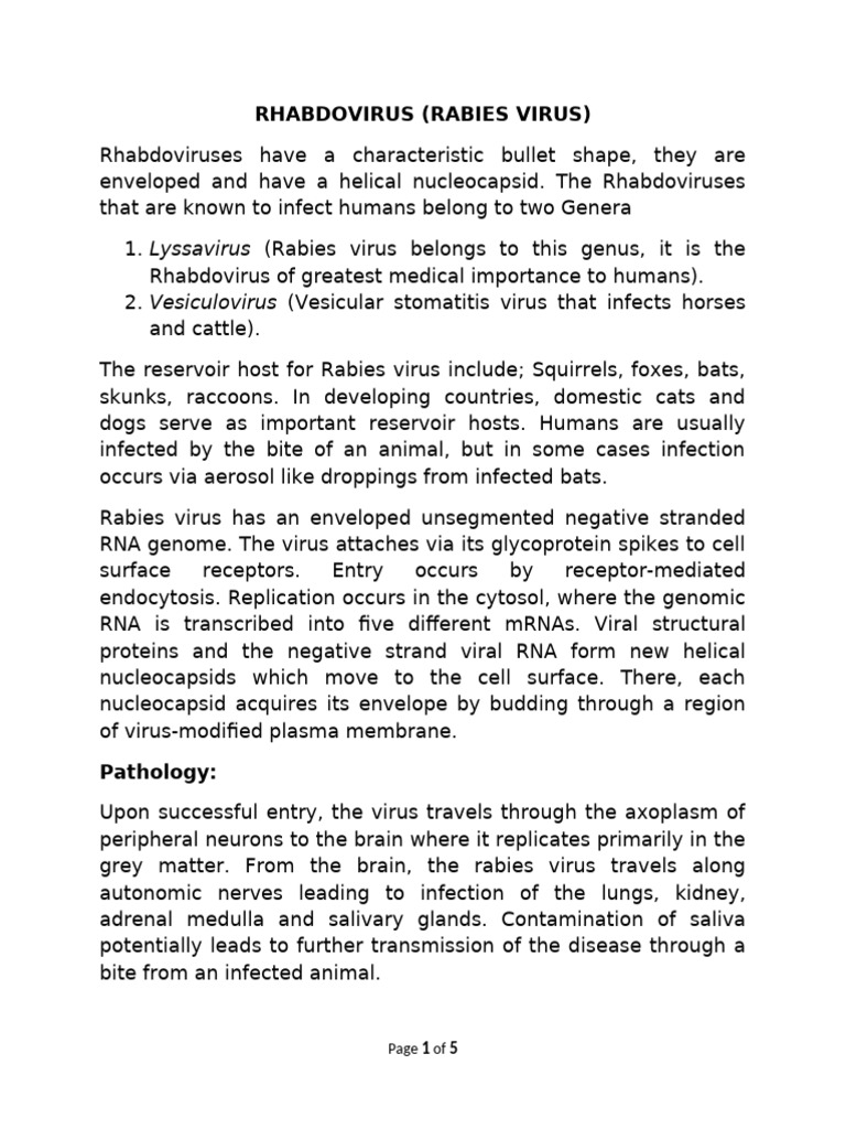 2 Rhabdovirus Poliovirus and Flaviviruses | PDF | Rabies | Virus