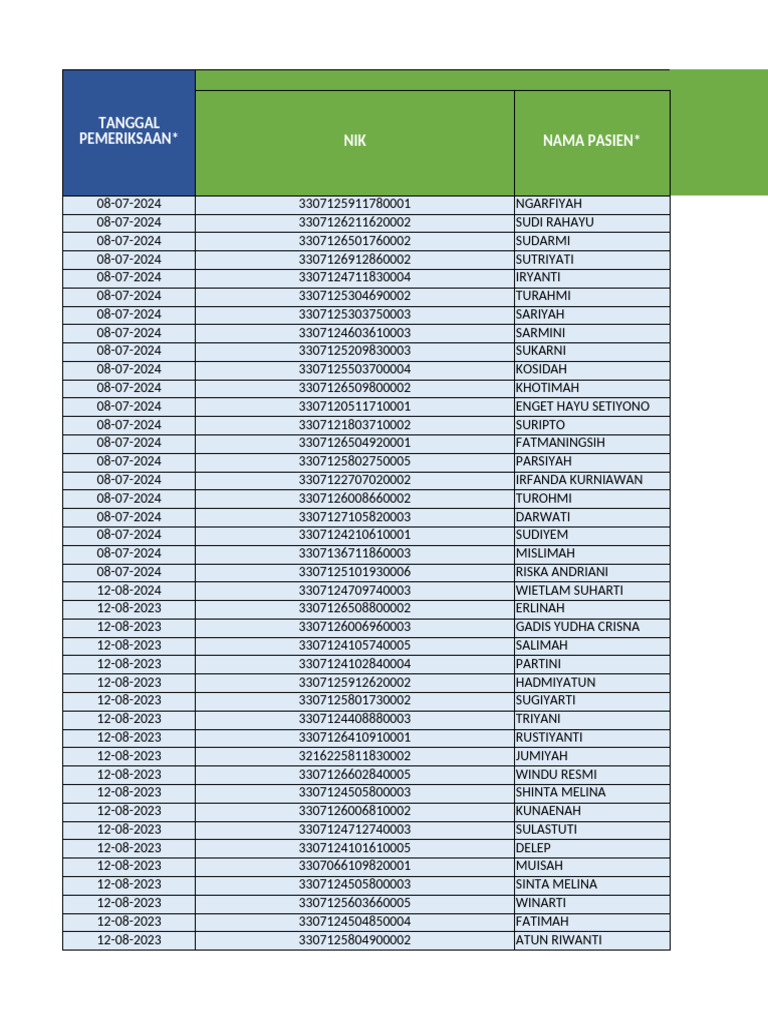 Data Pasien Juli-Agustus 2024 | PDF
