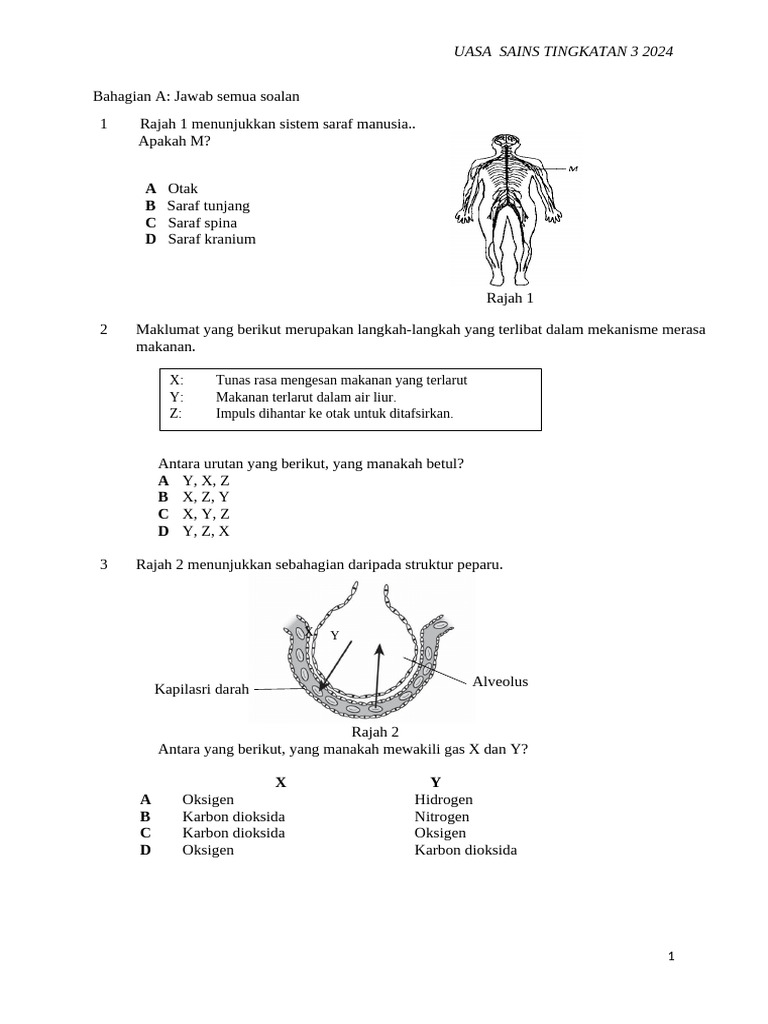 Uasa Sains Tingkatan 3 2024 | PDF