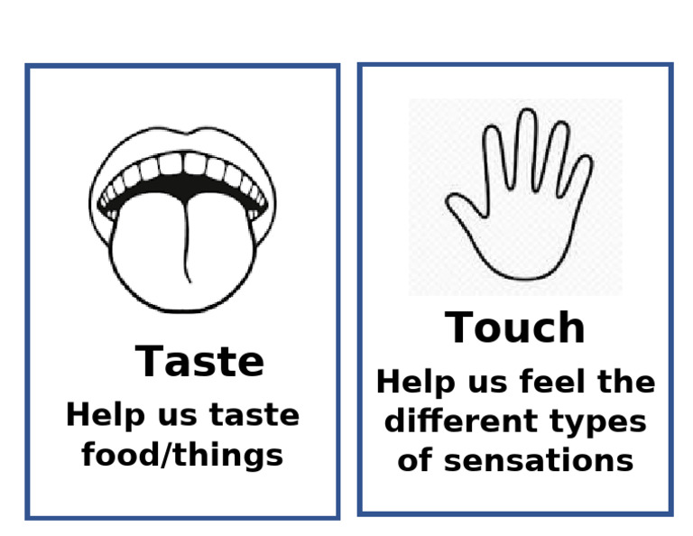 Amna 1 | PDF | Self-Improvement