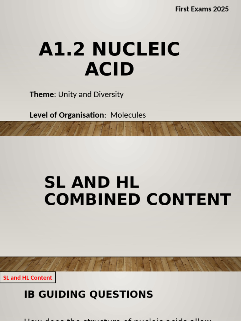 Nucleotides: Building Blocks of DNA/RNA | PDF | Nucleotides | Dna