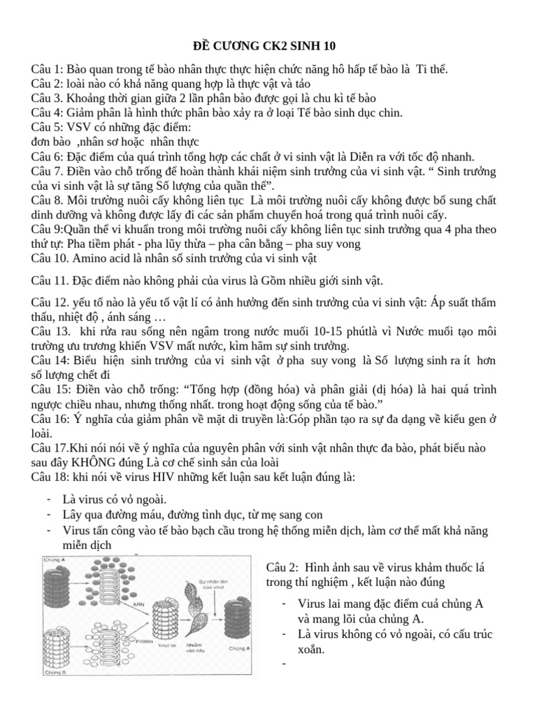 ĐỀ CƯƠNG CK2 SINH 10 | PDF