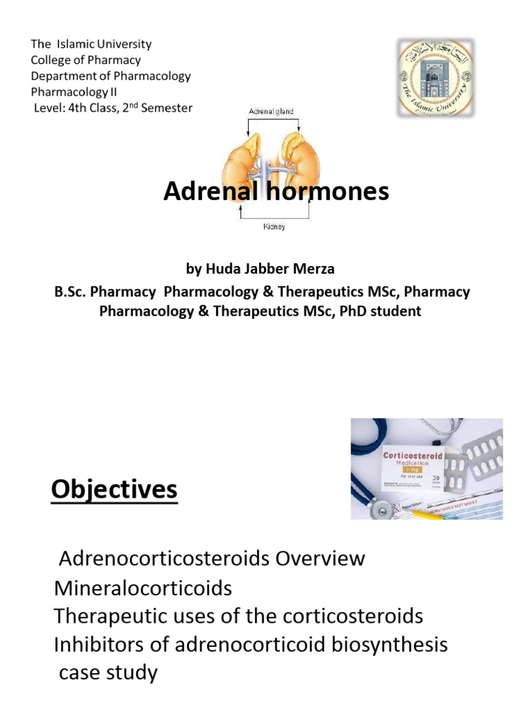 Adrenal Hormones | PDF | Adrenal Gland | Glucocorticoid