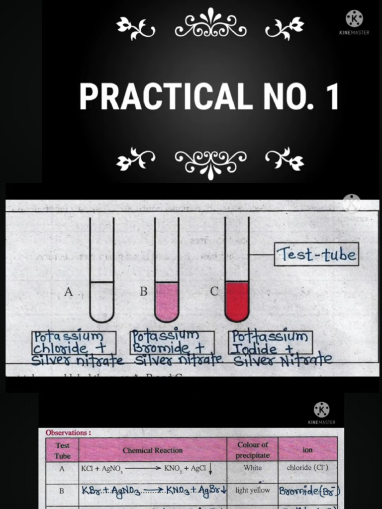 Science Part 1 PDF | PDF