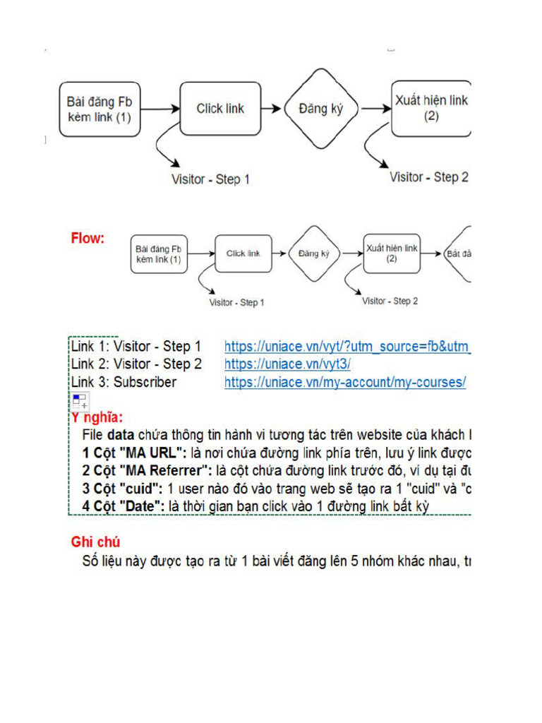 Uniace Campaign | PDF