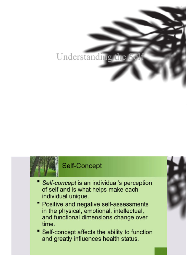 Understanding The Self Lesson 1 | PDF