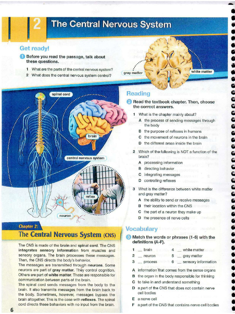 CNS | PDF