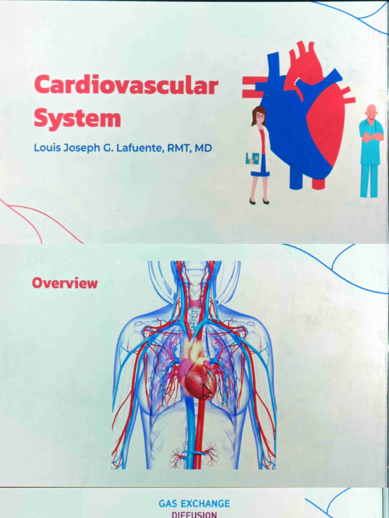 Cardiovascular System | PDF