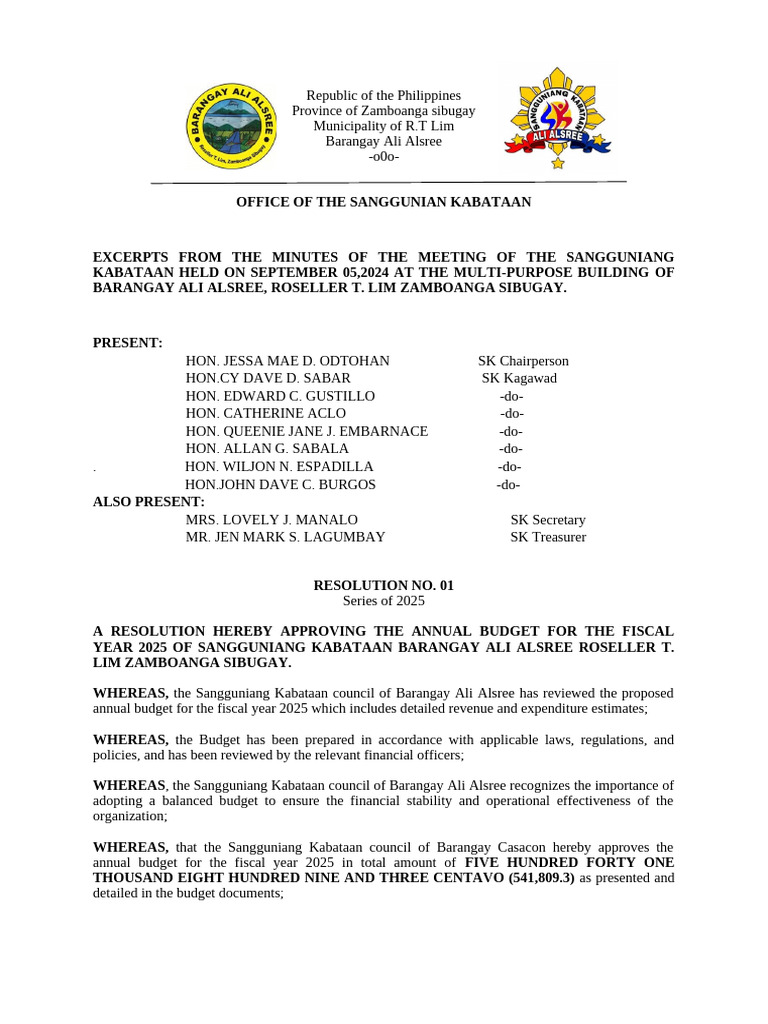 AIP RESOLUTION | PDF