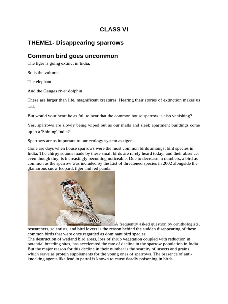 Sparrows: Urban Biodiversity's Alarm | PDF | Birds | Habitat