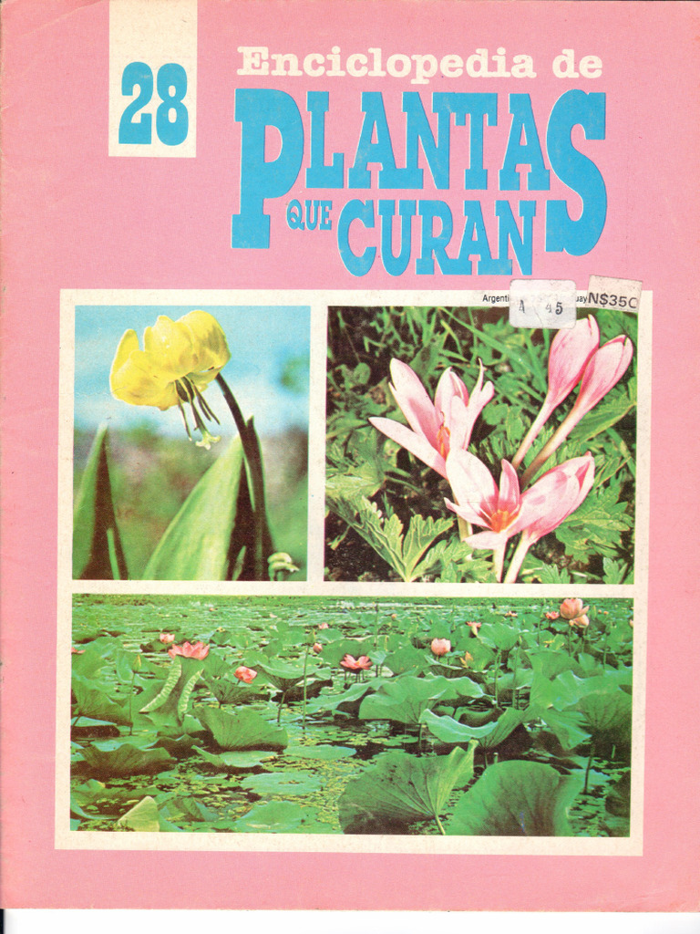 Enciclopedia de Plantas Que Curan 028 Ediliba 1987 | PDF
