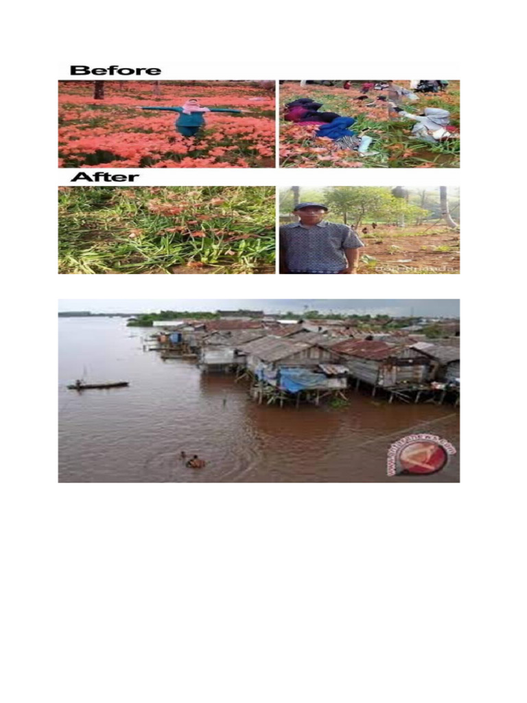 Contoh Fenomena Eksplanasi | PDF